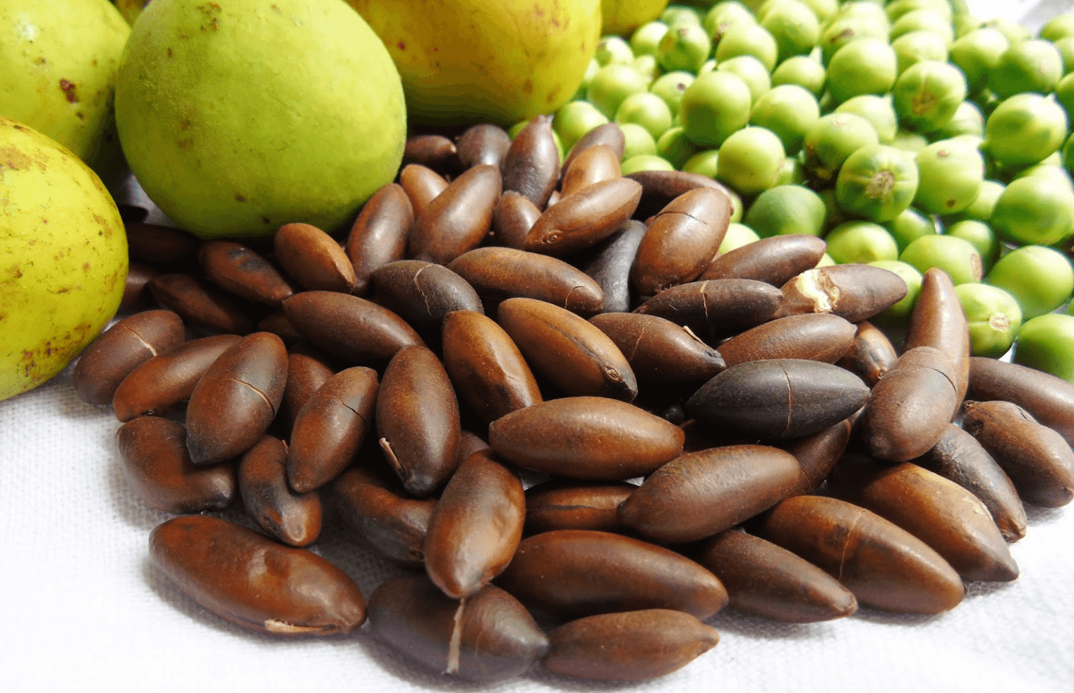 Exploring the Unique and Exotic Fruits of Brazil