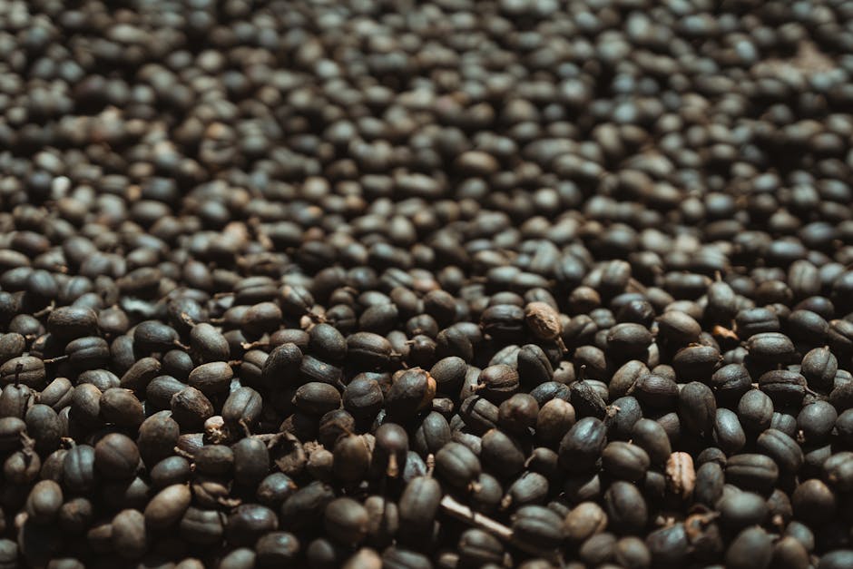 Brazilian Coffee Culture: History, Regions, and Where to Drink the Best ...